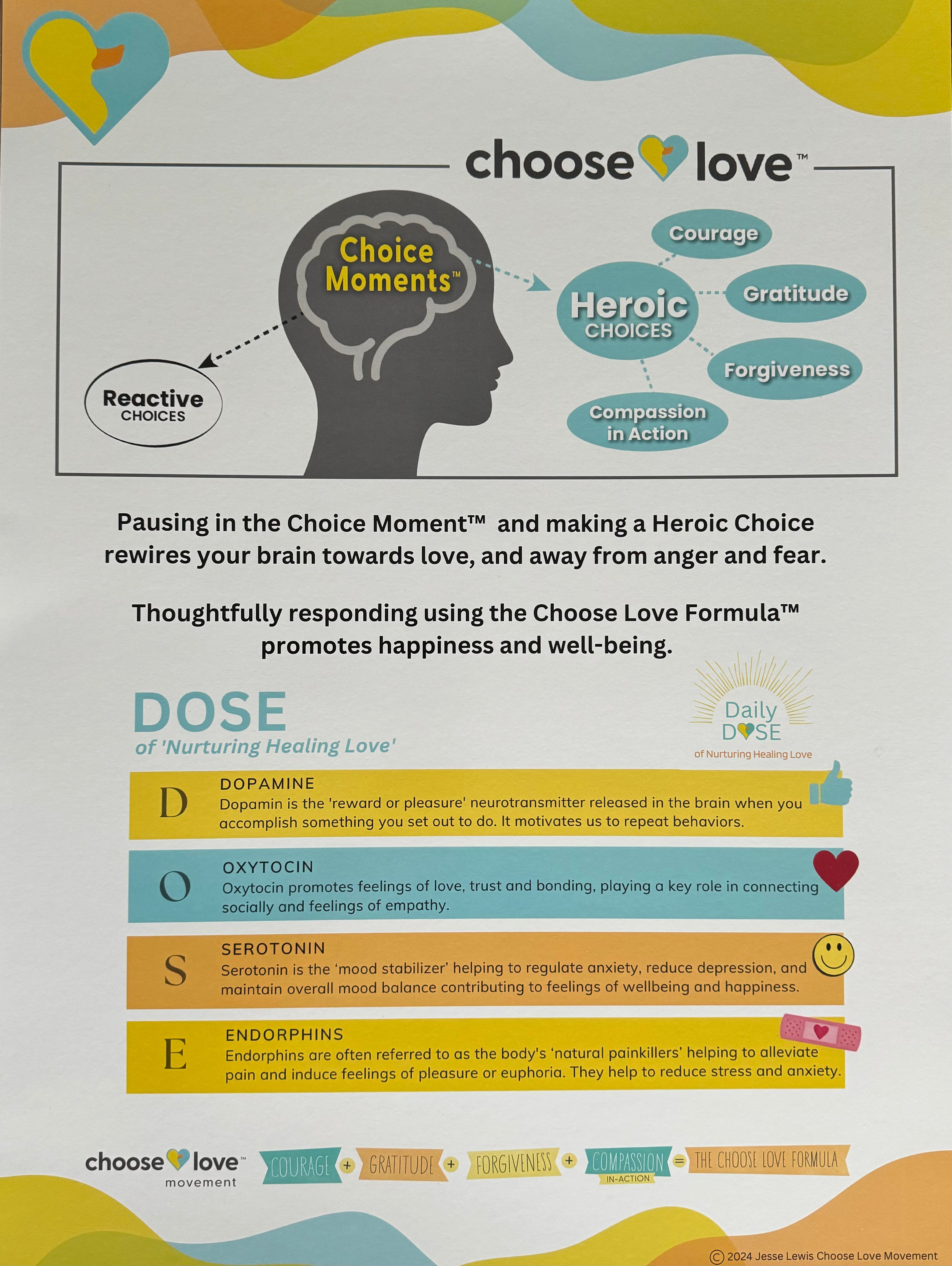 Choice Moment Poster - NEW!!! – Choose Love Movement